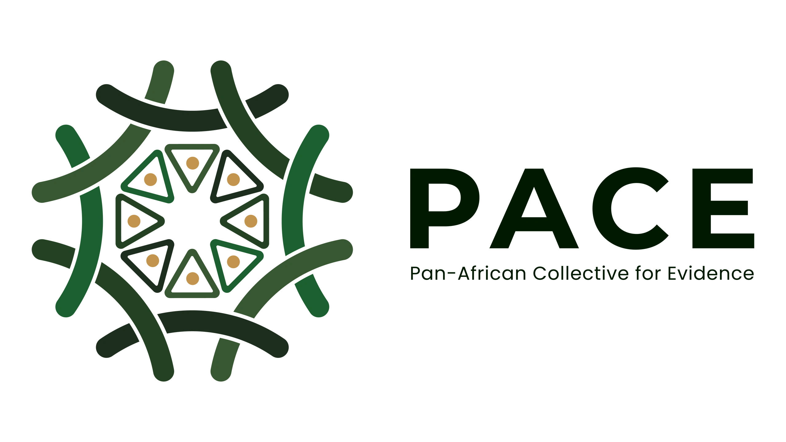 Pan-African Collective for Evidence website